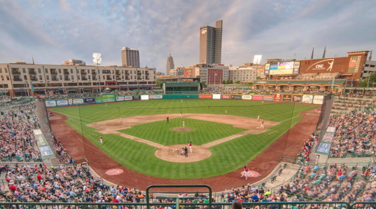 Black Pine Animal Sanctuary Gears Up For Baseball Season – The ...