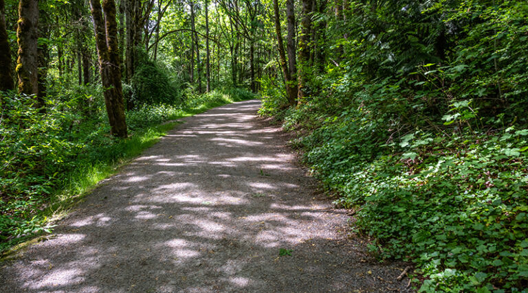 Local Nature Park Opens First Self-Guided & Accessible Trail – The ...
