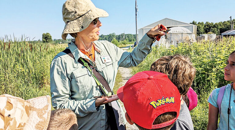 Celebrating Monarch Migrations At Eagle Marsh – The Waynedale News